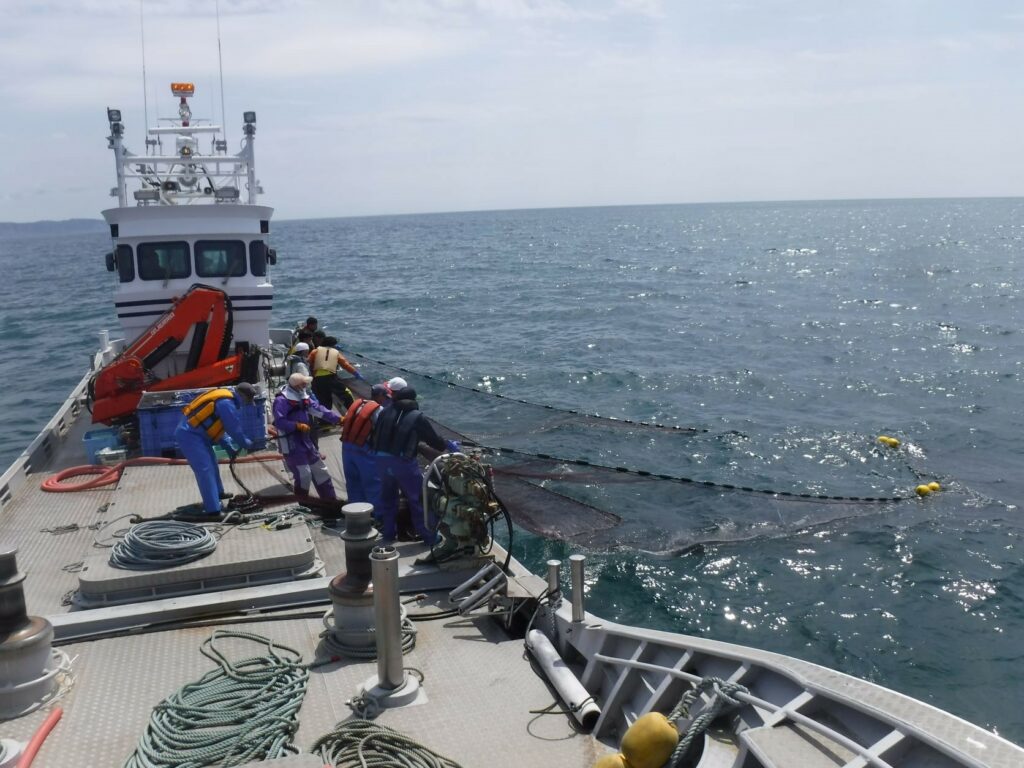 Salmon Enhancement Division | Japan Fisheries Research and Education Agency